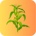 Corn Plant Price Calculator - Microsoft Edge Addons