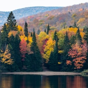 Reflective Autumn Serenity - Microsoft Edge Addons