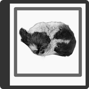 Notable Utility - Free download and install on Windows | Microsoft Store