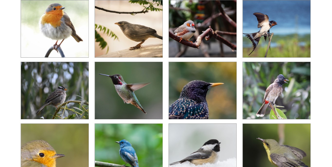 Wallpapers For Desktop Birds