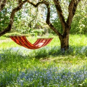 Spring Garden Relaxation - Microsoft Edge Addons