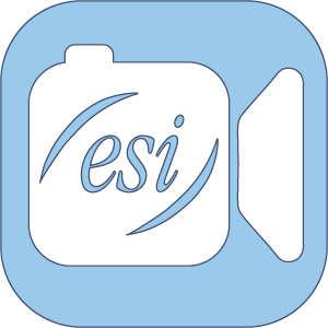 ESI Enterprise Meetings