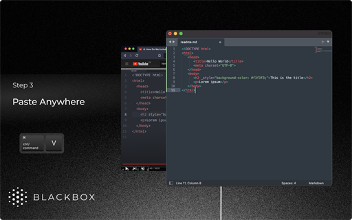Blackbox: Fast Code Copy from Videos & Images