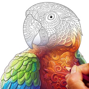 Kids Coloring Book Advanced - Official app in the Microsoft Store