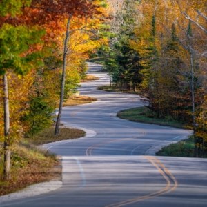 The autumn - Microsoft Edge Addons