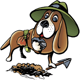 Rock Hound - Download and install on Windows | Microsoft Store