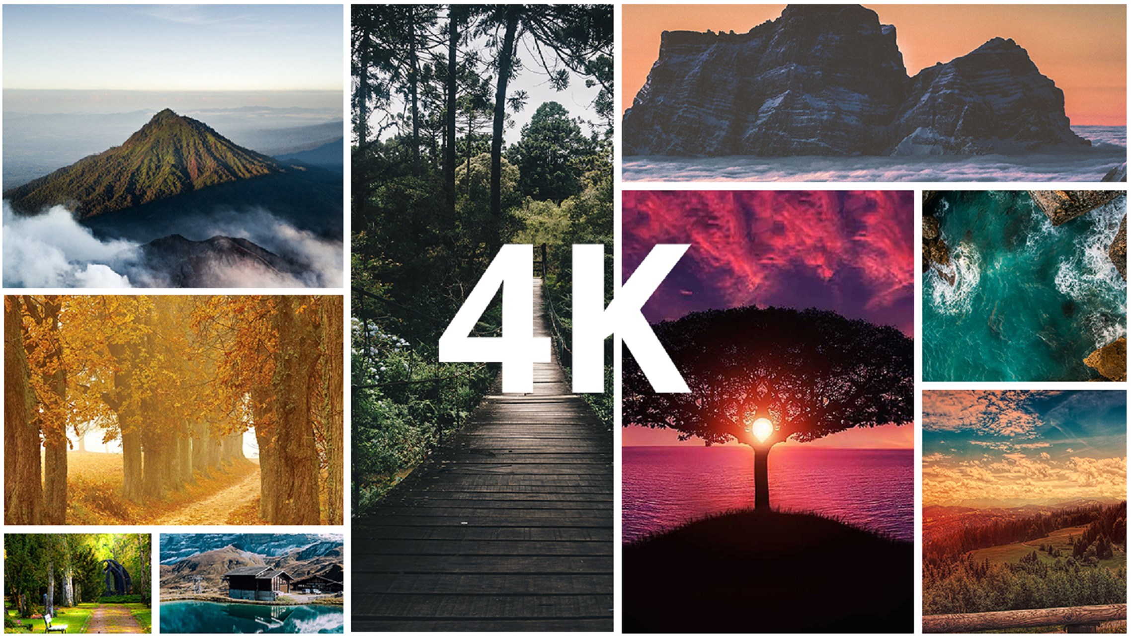 Microsoft Free Wallpapers Downloads