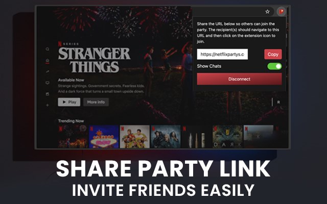 Netflix Party Pro - Add-on Download