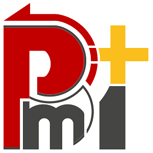 PmBI Pro - Advanced Process Mining by ProcessM