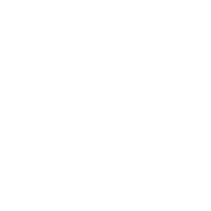VH Dissector AR - Official app in the Microsoft Store