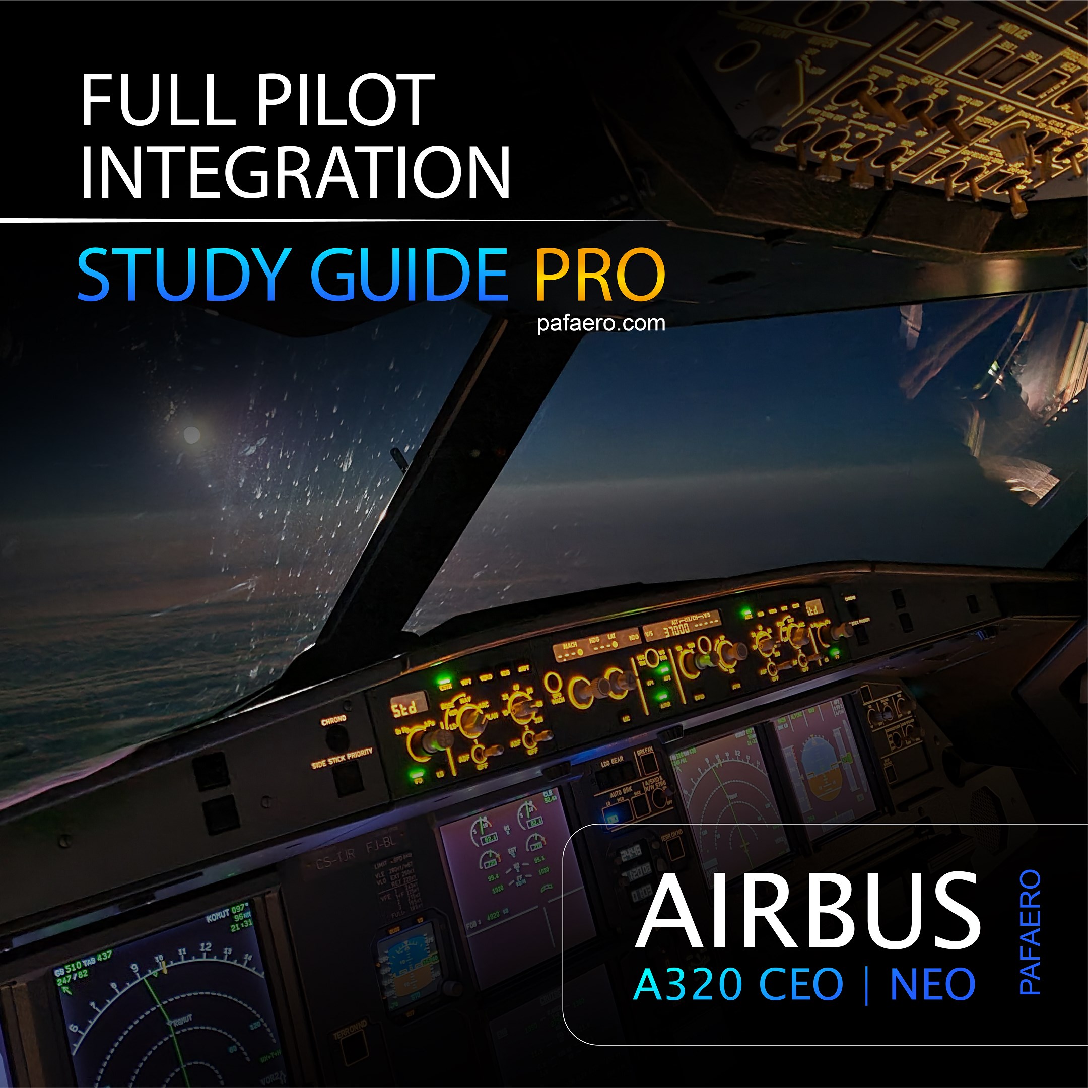 Airbus A320 Cockpit Simulator