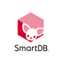 SmartDB