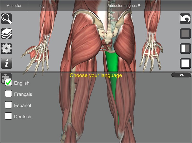 3D Bones and Organs (Anatomy) (by Education Mobile) - (Windows Apps ...