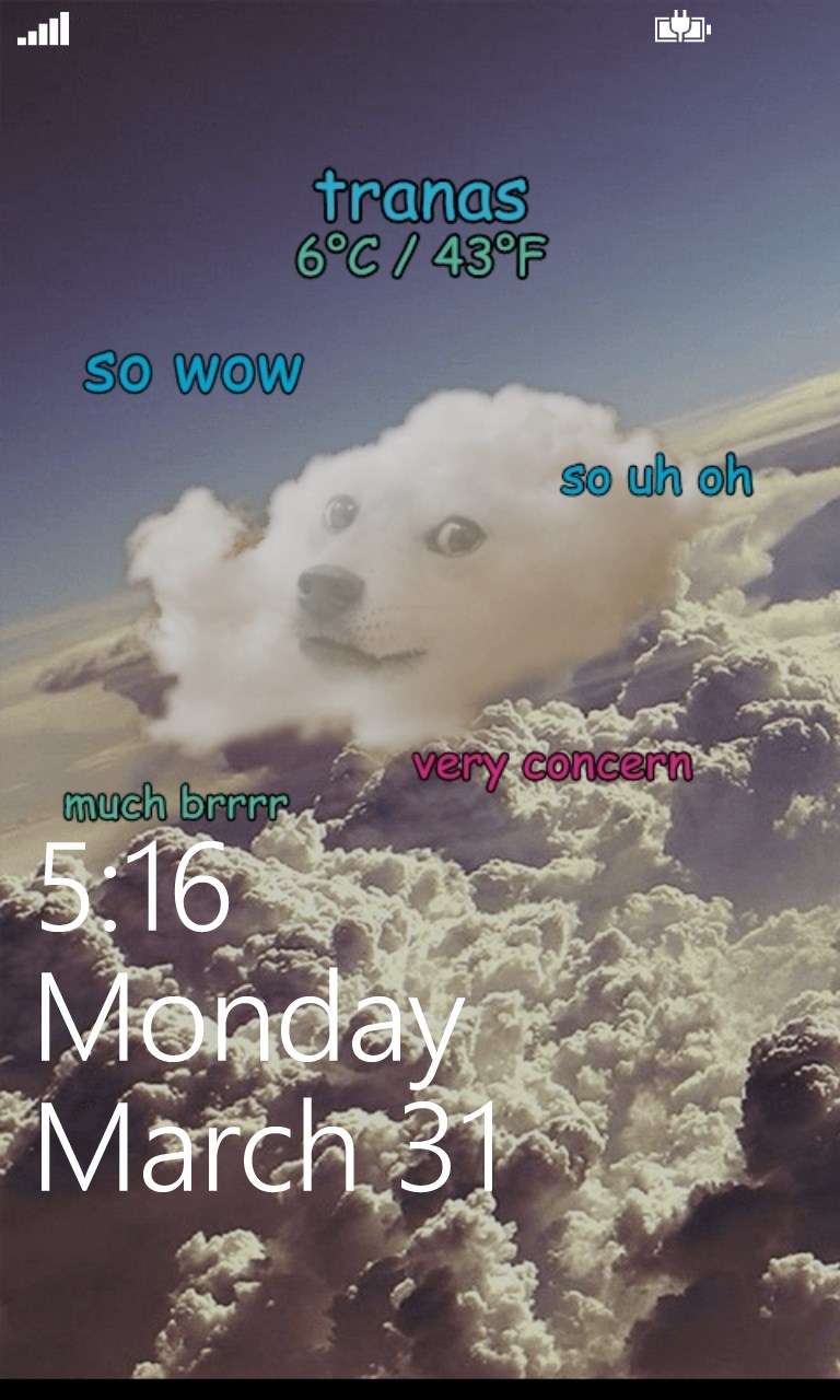 Weather Doge Memes