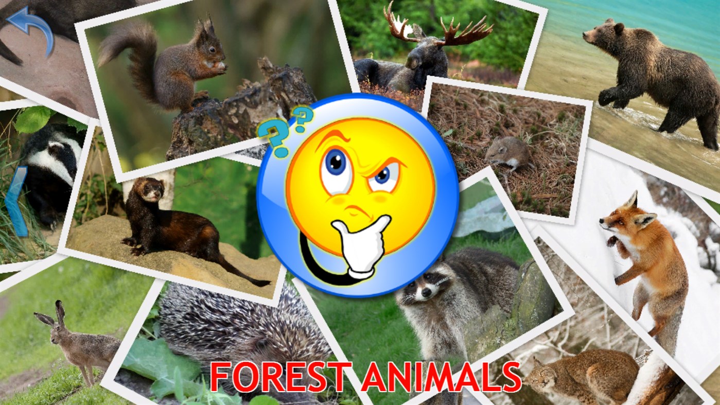 Animals for Kids (Full Game) (by CLEVERBIT) - (Windows Apps) — AppAgg