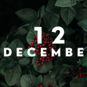 December Green Wallpaper New Tab - Microsoft Edge Addons