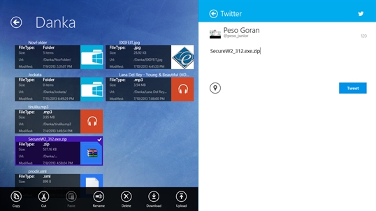 Webdav Server Windows 10 - eaglebucks