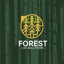 Forest Live Animated Wallpapers - Download and install on Windows ...