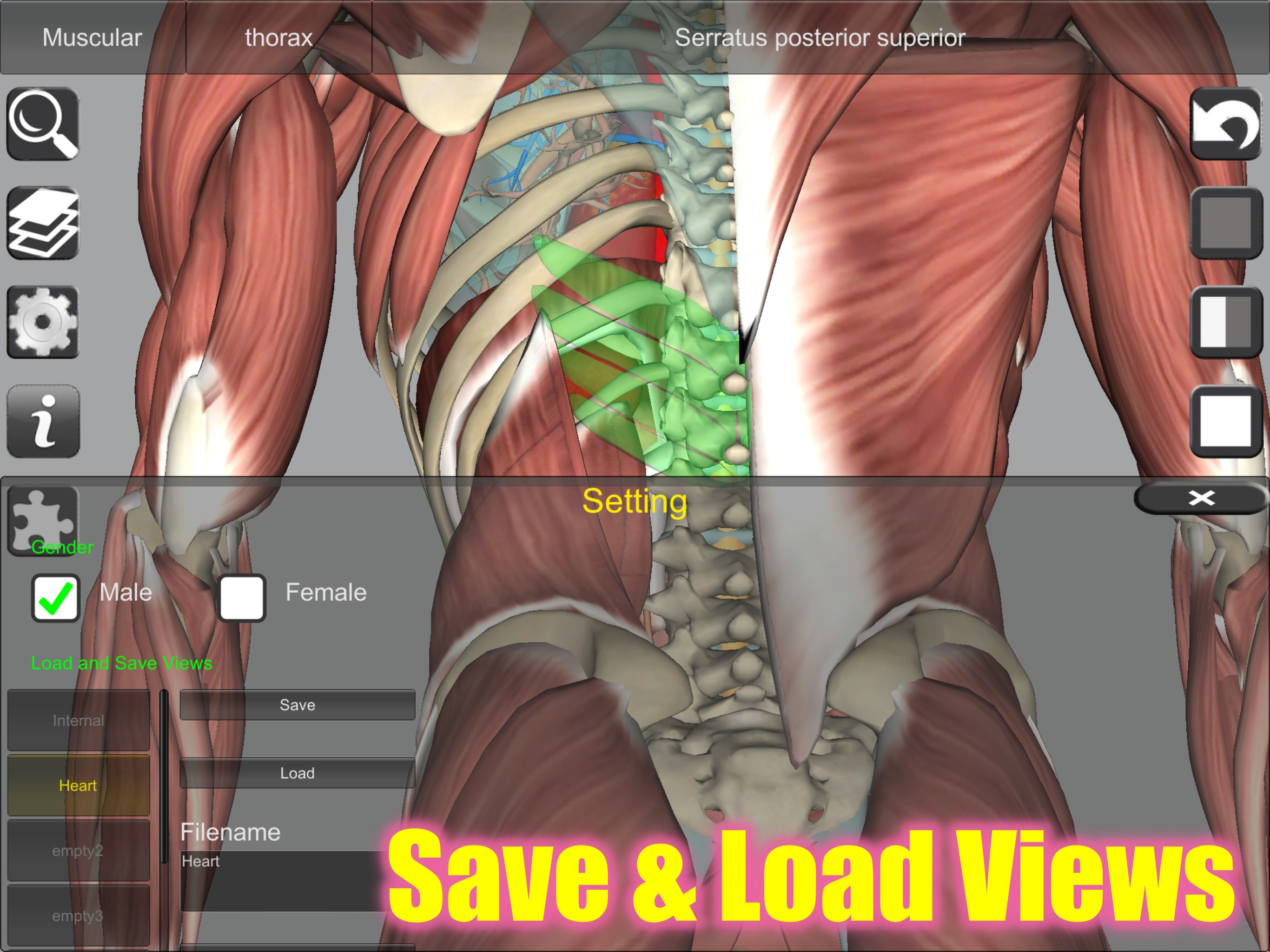 3D Bones and Organs (Anatomy) by ‪Education Mobile‬ - (Windows Apps ...