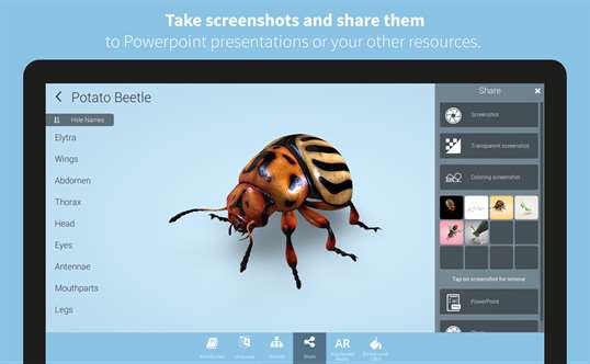 Lifeliqe for Windows 10 PC Free Download - Best Windows 10 Apps