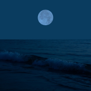 Moonlit Seascape - Microsoft Edge Addons