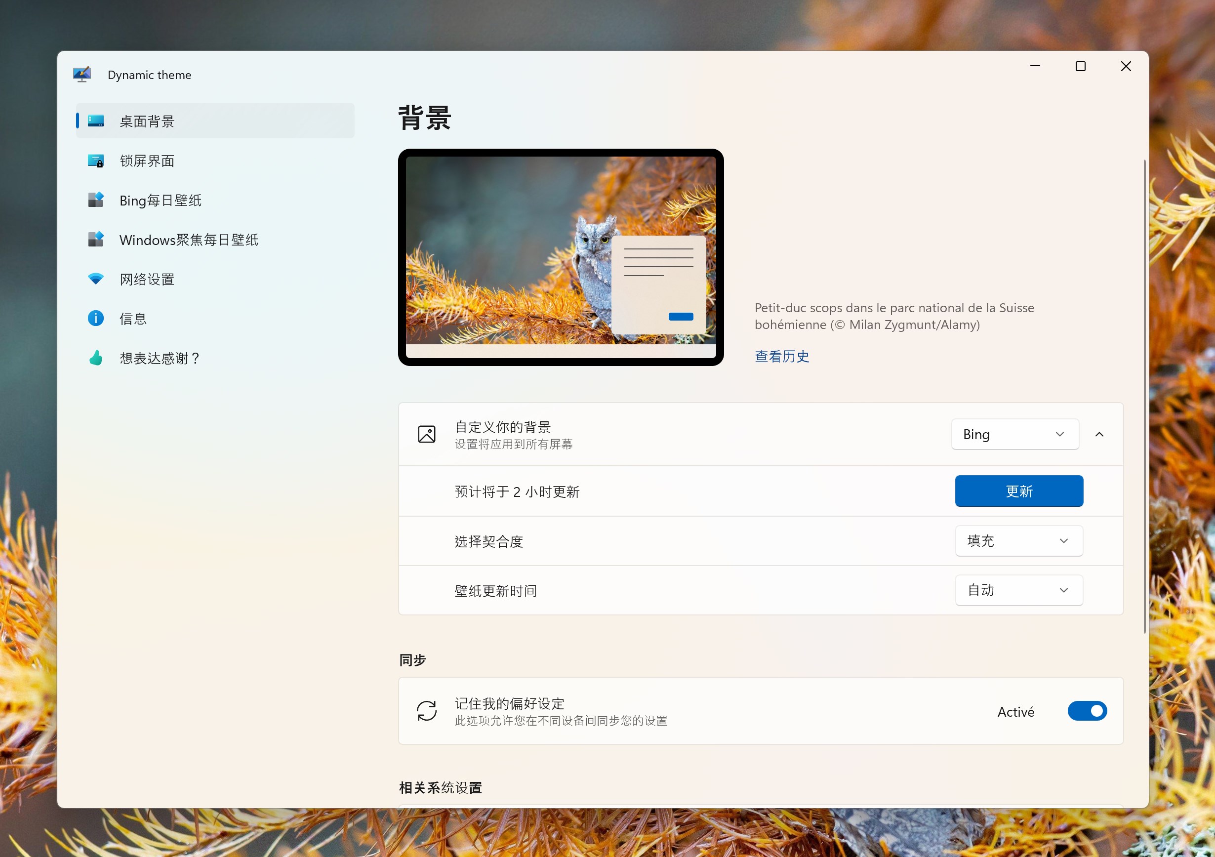 Dynamic theme-替换win11自带聚焦壁纸可自动更换锁屏、桌面壁纸软件 - 吾爱破解 - 52pojie.cn