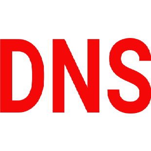 Simple DNS - Download and install on Windows | Microsoft Store