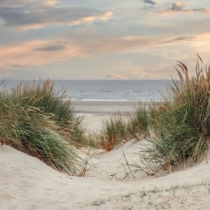 North Sea Dunes - Microsoft Edge Addons