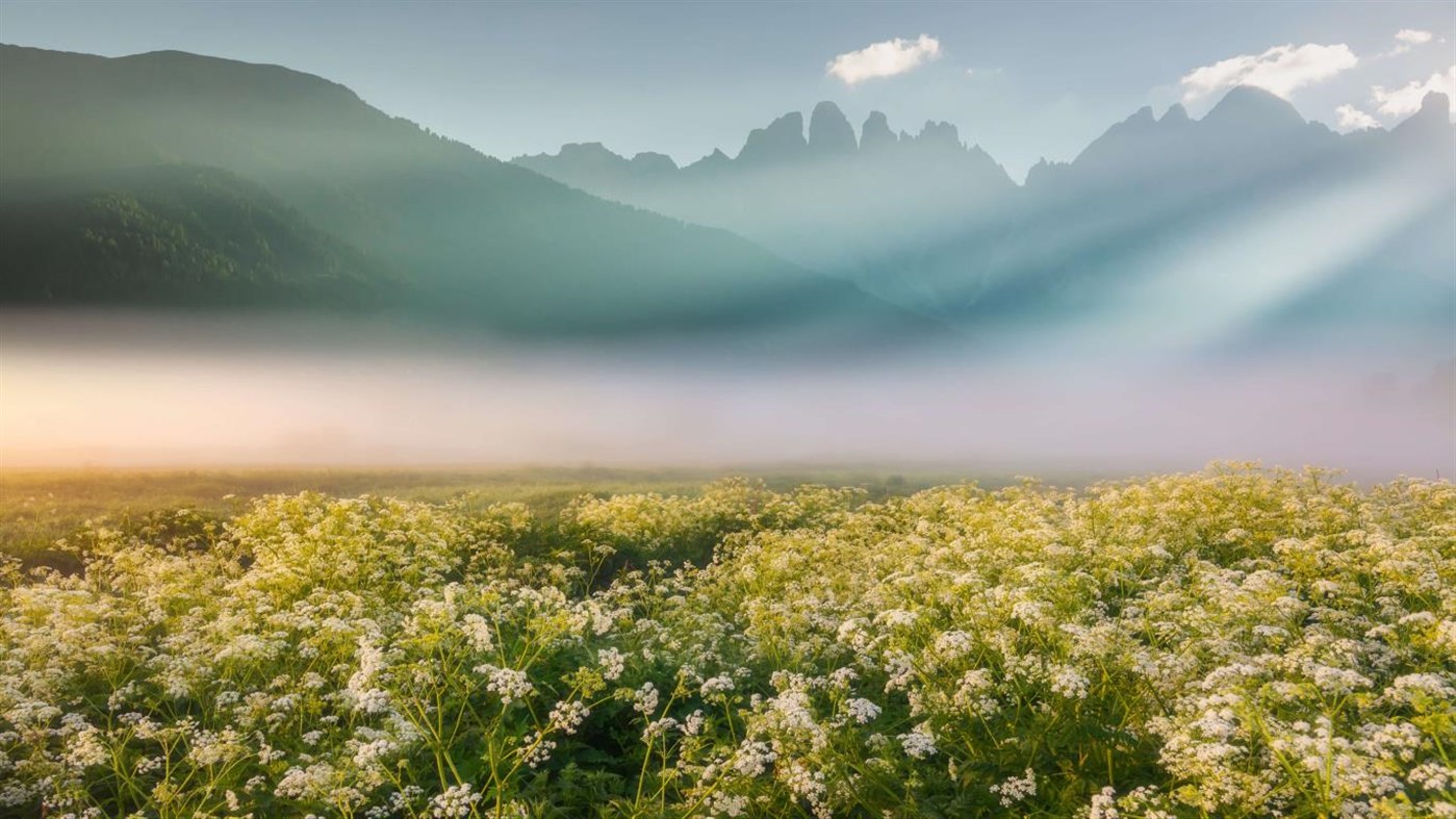 Mountain Light PREMIUM (by Microsoft Corporation) - (Windows Apps) — AppAgg