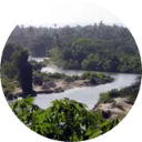 Congo Wallpaper New Tab - Microsoft Edge Addons