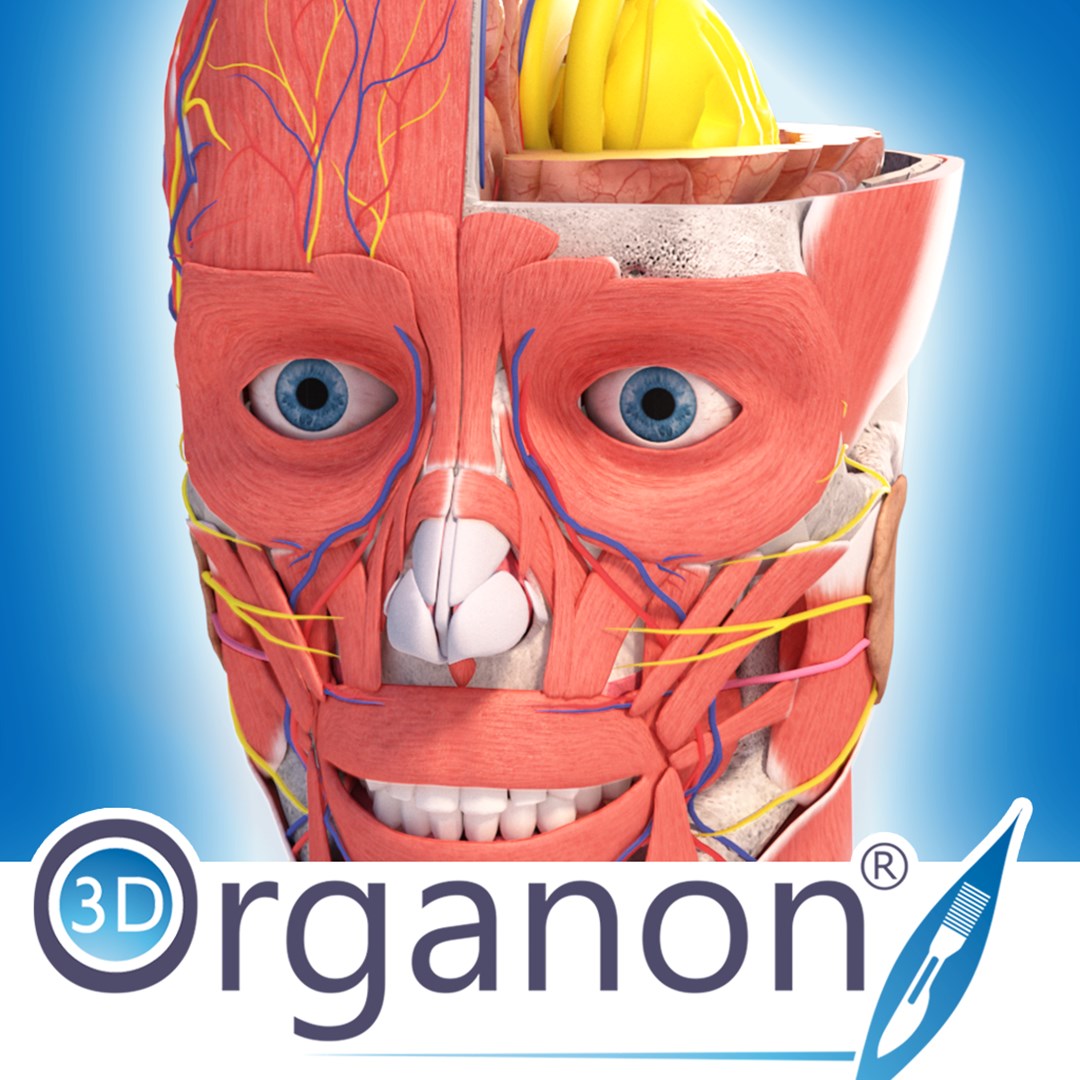 3D Organon VR Anatomy | lupon.gov.ph