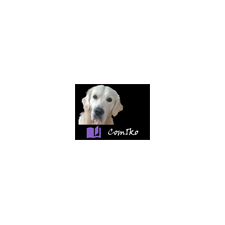 ComIko - Windows にダウンロードしてインストール | Microsoft Store