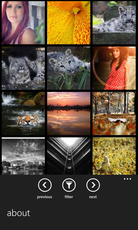 Get Photo Grid - Microsoft Store