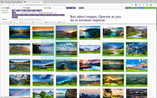 ImageAssistant Batch Image Downloader - Extract Images Easily