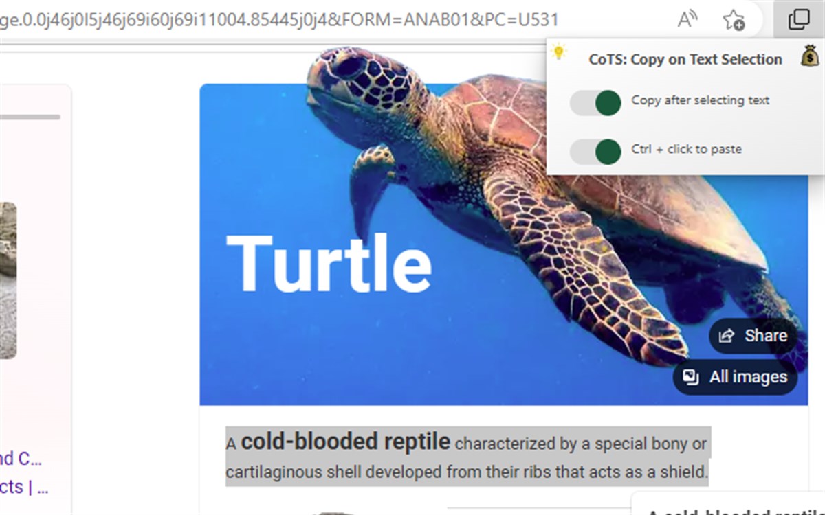 CoTS: Auto Copy Text on Selection Chrome Extension