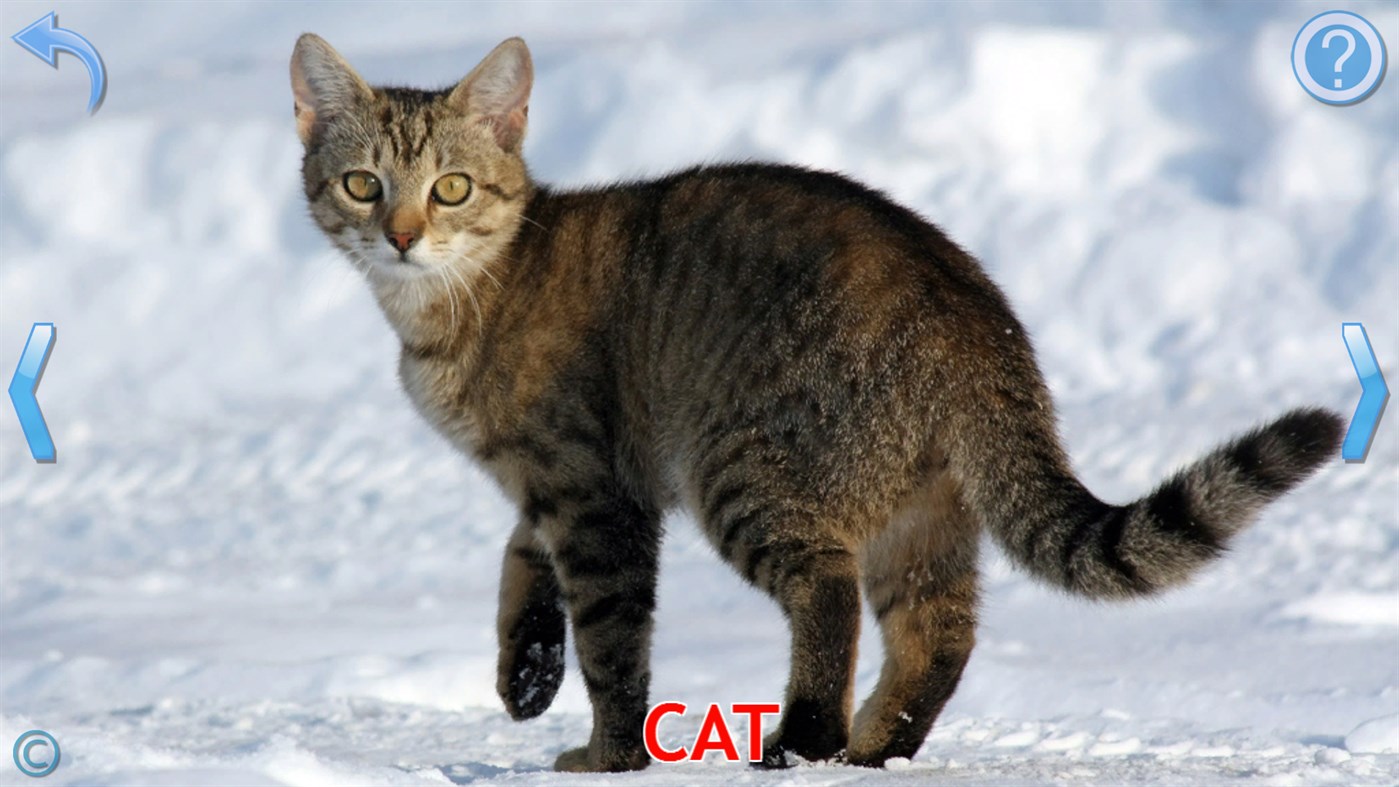 Animals for Kids (Full Game) (by CLEVERBIT) - (Windows Apps) — AppAgg