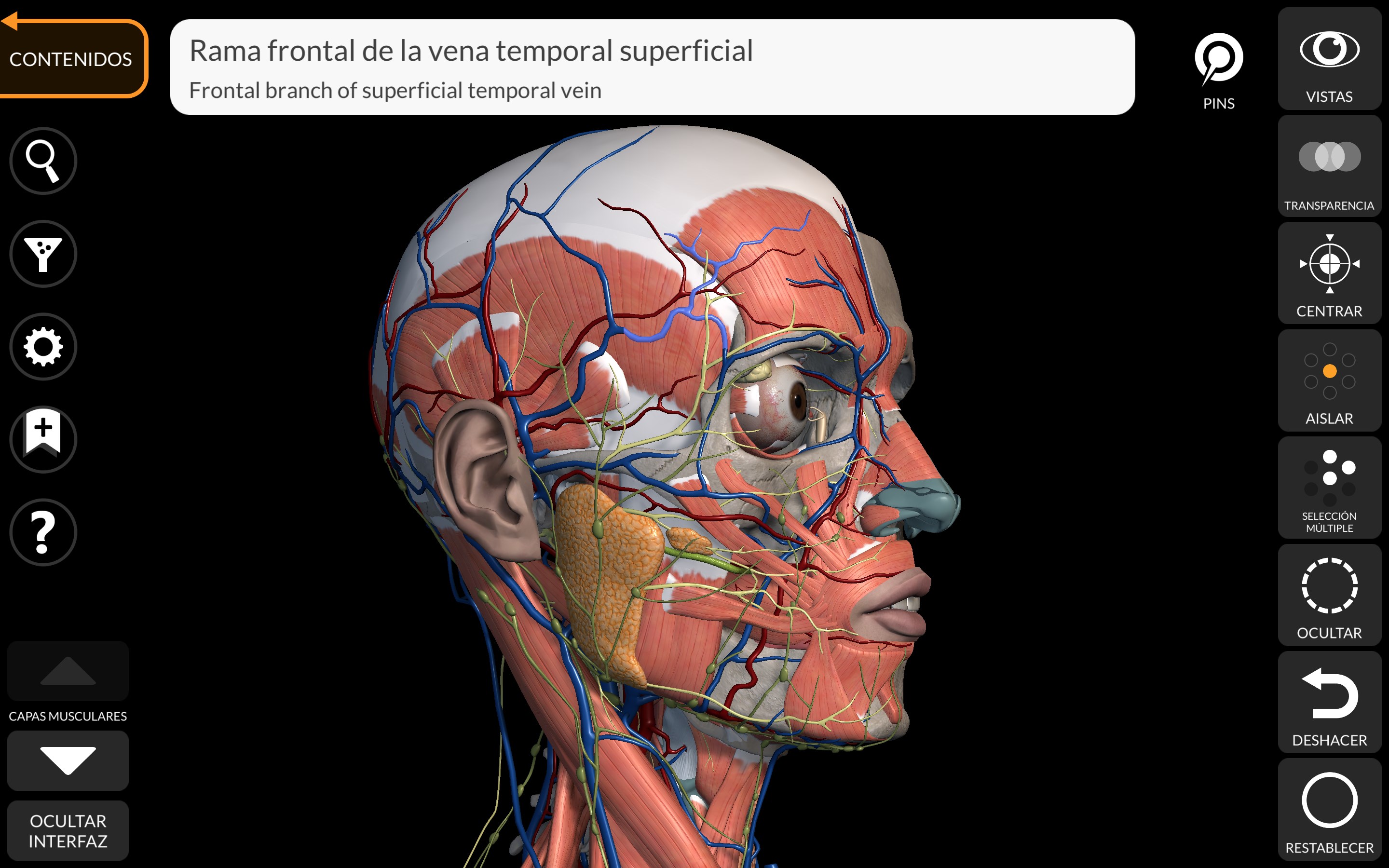 Anatomía Humana En Google Anatomía Atlas 3D Aplicaciones En