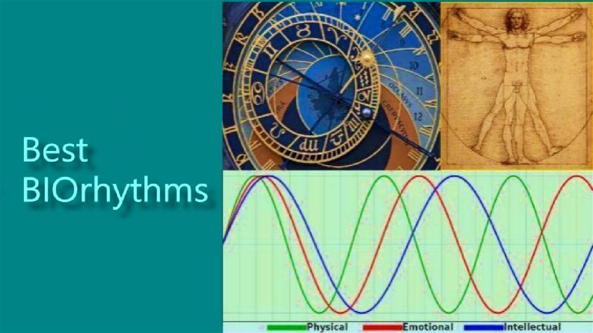 Biorhythms Charts For Past And Future