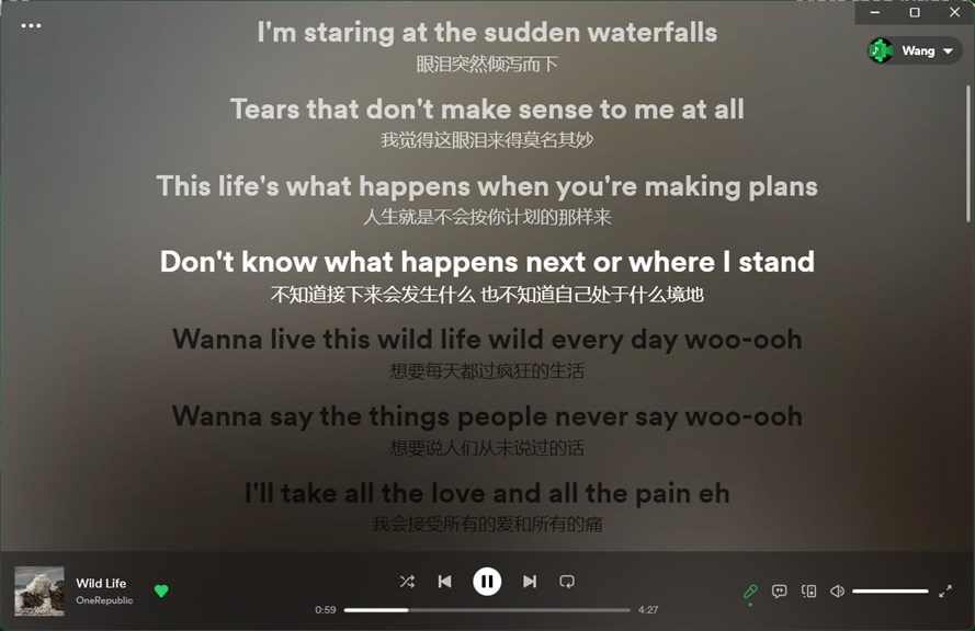 Waterfalls Lyrics