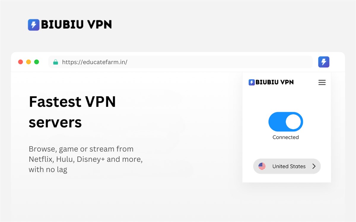 BiuBiu VPN - Free Fast Chrome VPN & Website Unblocker