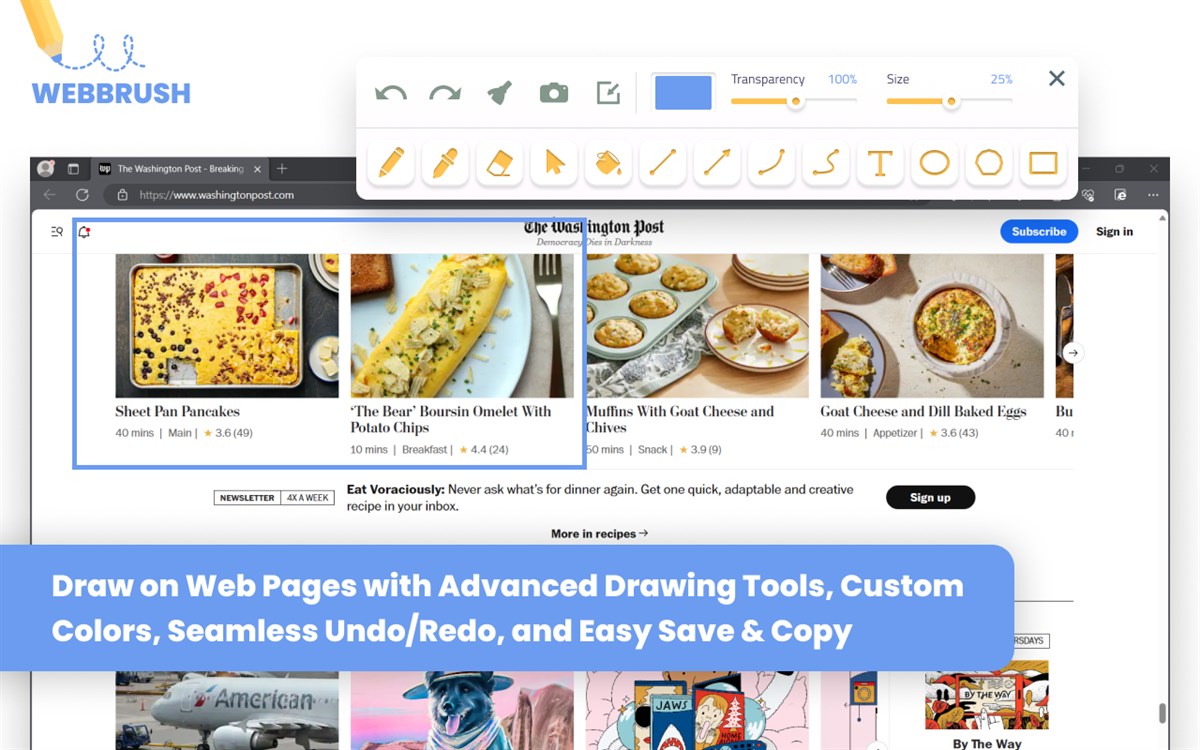 WebBrush - Draw & Annotate on Any Web Page