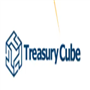 Treasury Cube Global Payment Hub