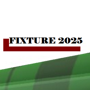 Fixture Clubes 2025. Estadísticas. Charts - Free download and install ...