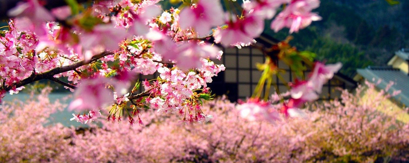 Japan Wallpaper New Tab - Complemento de edge