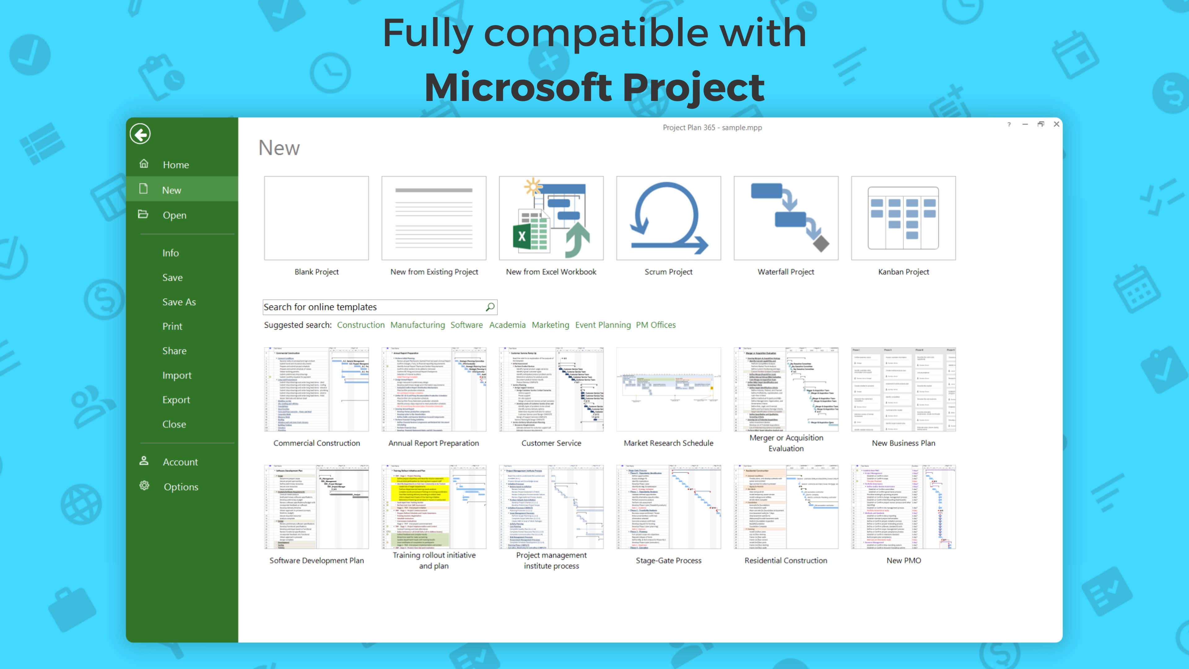 Microsoft Project Sample Project Plan