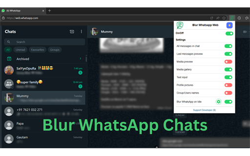 Blur WApp Web — Blur WhatsApp Web Privacy