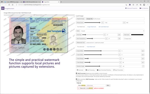 ImageAssistant Batch Image Downloader - Extract Images Easily