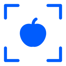 Objects Detection in Videos - Official app in the Microsoft Store