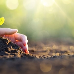 Planting Hope - Microsoft Edge Addons