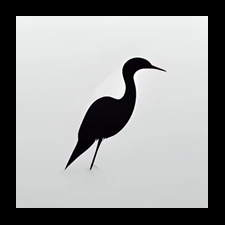 CRAN/E: descarga e instalación gratuitas en Windows | Microsoft Store